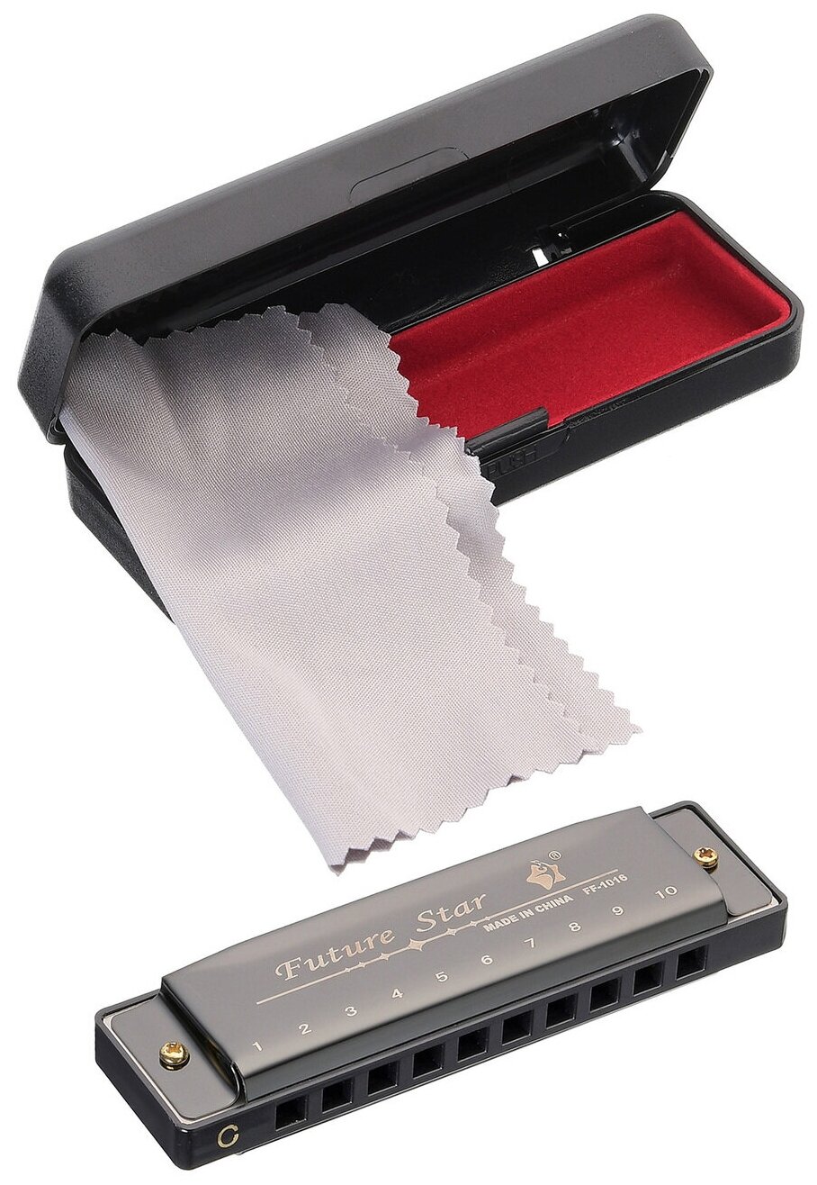 Future Star FF-1016 BK - Губная гармошка C, Черная в черном кейсе