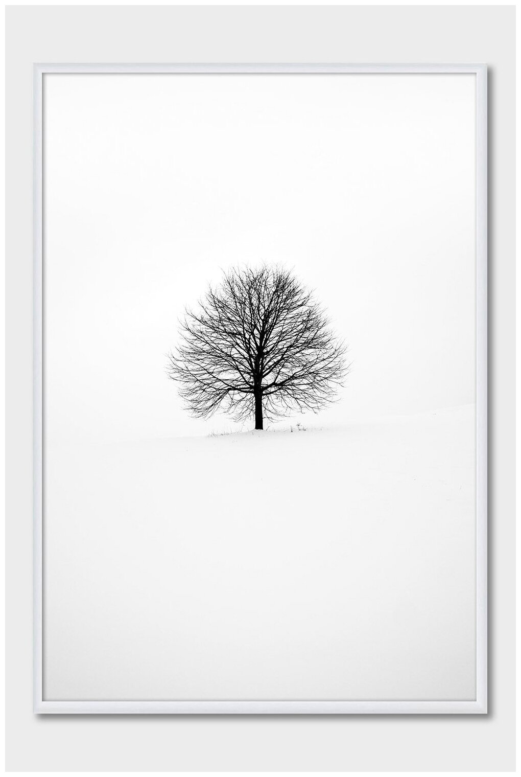 Черно-белый постер на стену для интерьера Postermarkt Дерево, в белой рамке 30х40 см