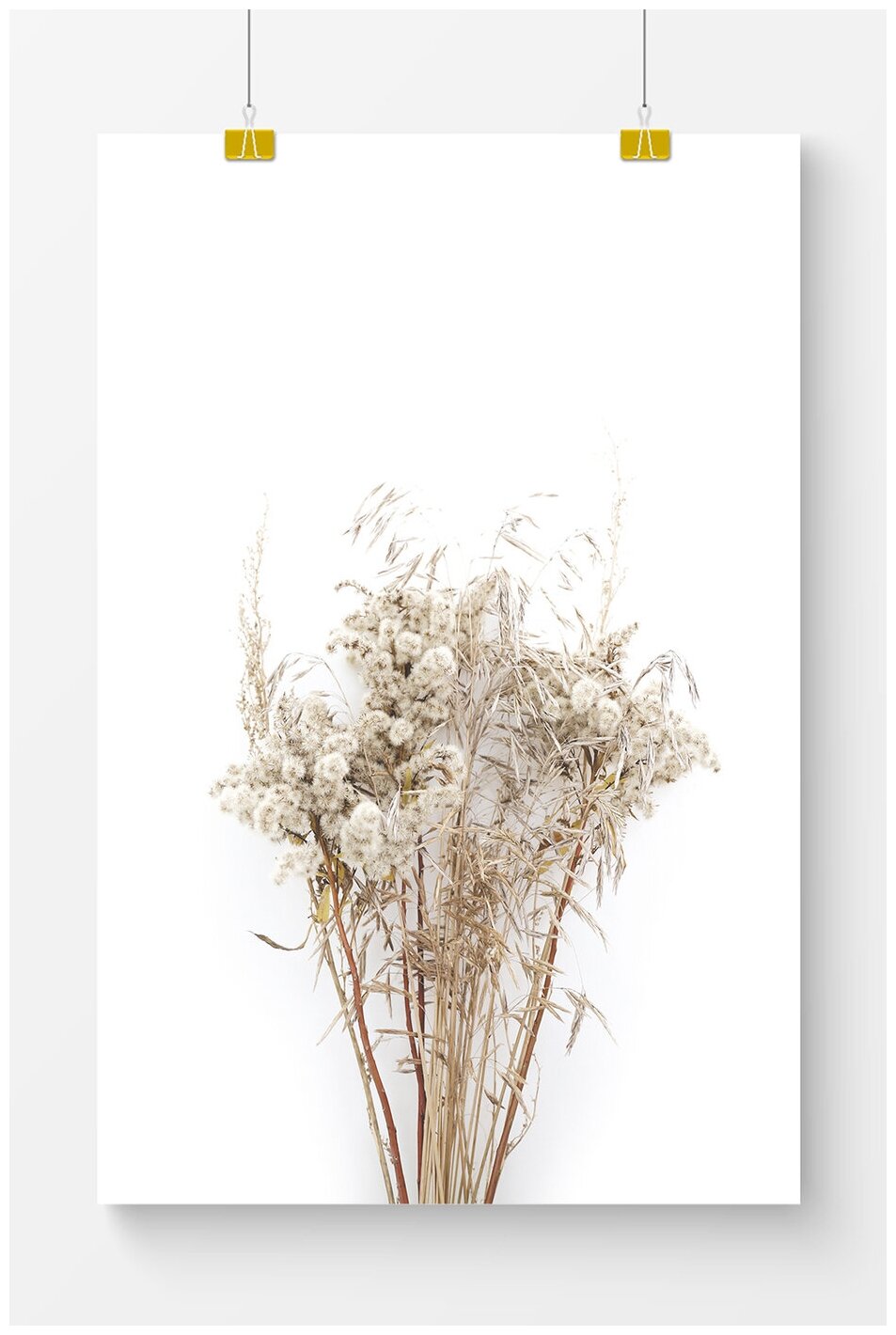 Постер для интерьера Postermarkt Ветки из сухоцветов, 50х70 см
