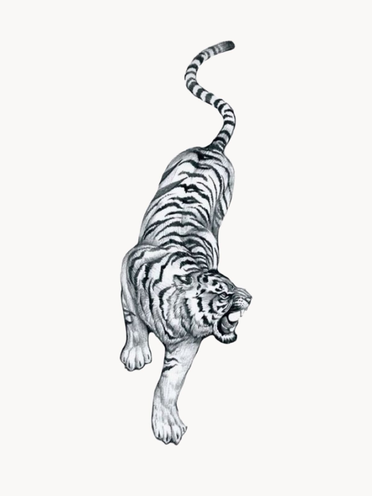 Временные Татуировки, Революционная Технология, тигр (темнеют через 24 часа)