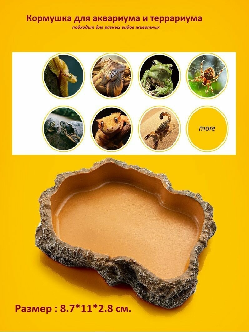Кормушка для ящериц, пауков, игуан, хамелеонов, рептилий и черепах для террариума и аквариума 8,7*11*2,8 см.