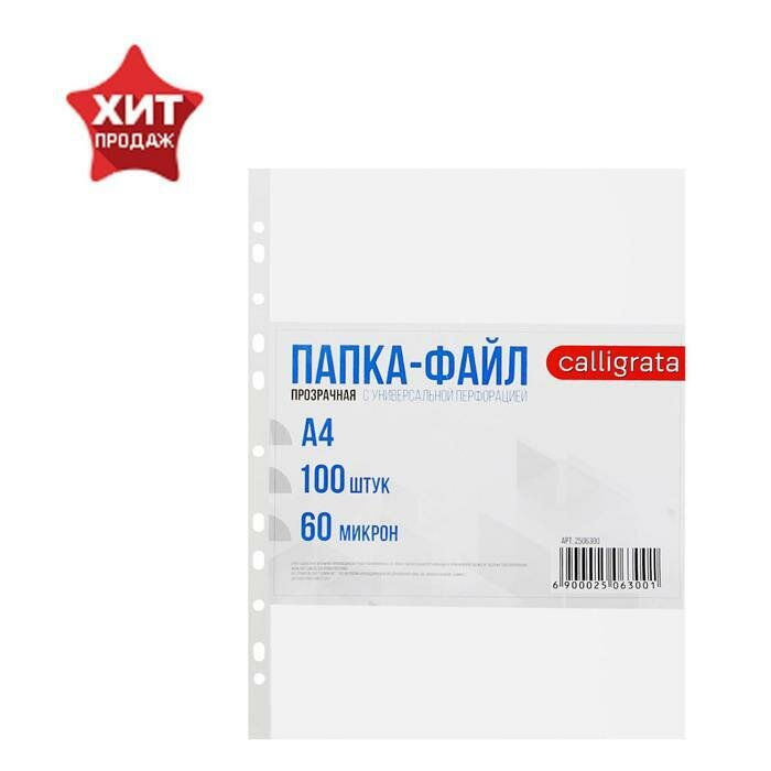 Файл-вкладыш А4, 60 мкм, Calligrata "Супер-люкс", глянцевый, вертикальный, 100 штук, микс