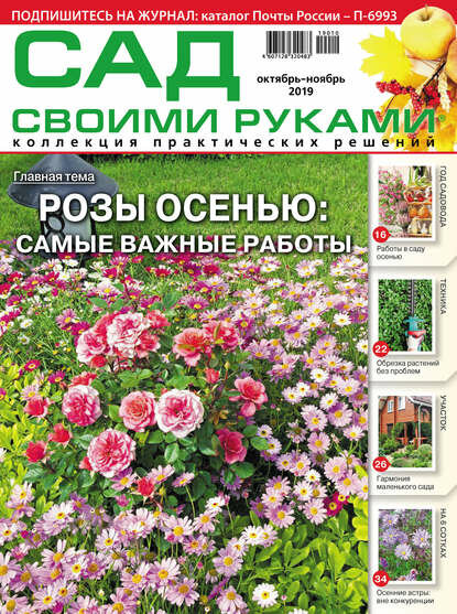 Сад своими руками №10-11/2019 [Цифровая книга]