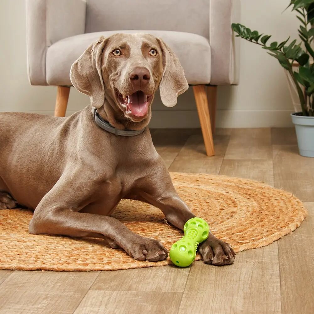 Игрушка для собак Гантель Луна, 14х5х5 см