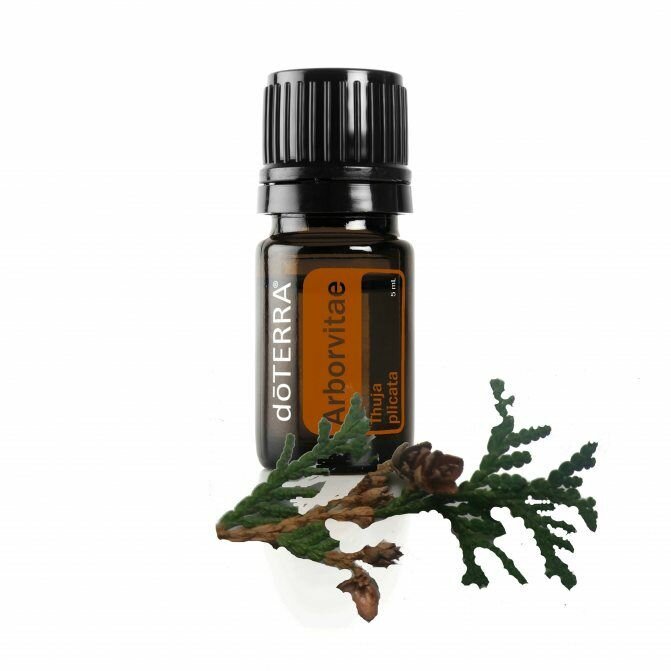 Эфирное масло doTERRA Туя Arborvitae, древесный аромат, без красителей и отдушек