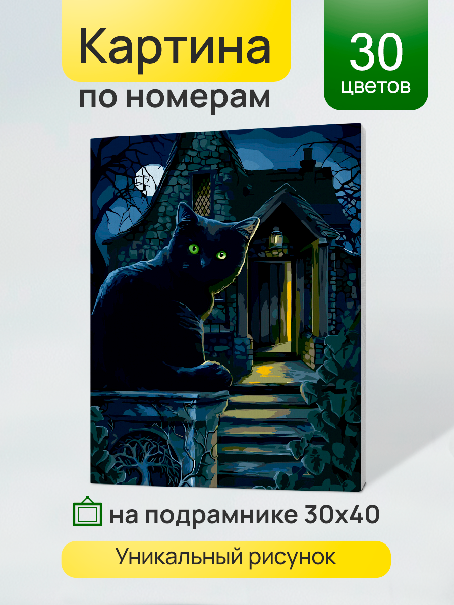 Холст с красками "Черный-черный кот" 30х40 см по номерам (в коробке) 30 цветов Артикул Х-4159