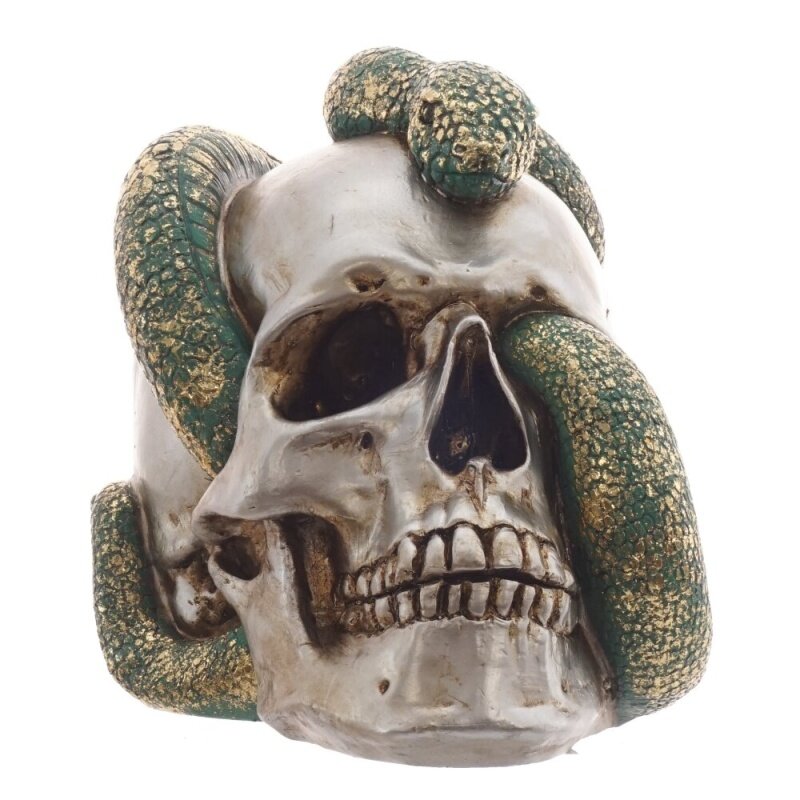 Копилка Череп со змеей, 23х16х18 см, цв. серебро A KSM-808146сер