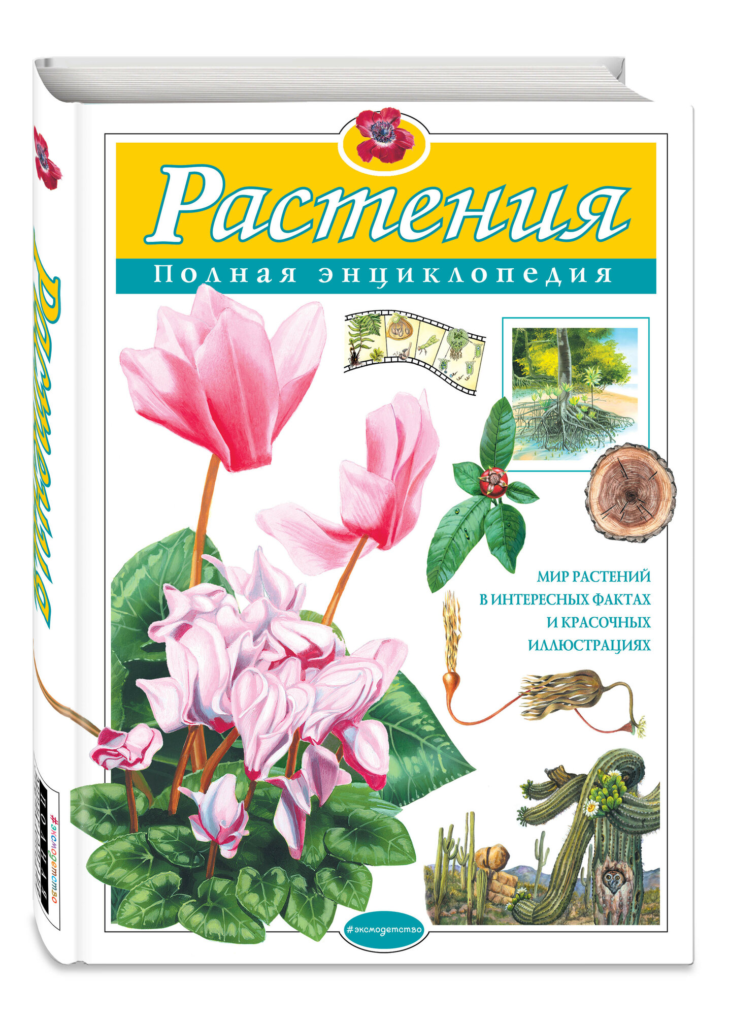 Школьник Ю. К. "Растения" твердый