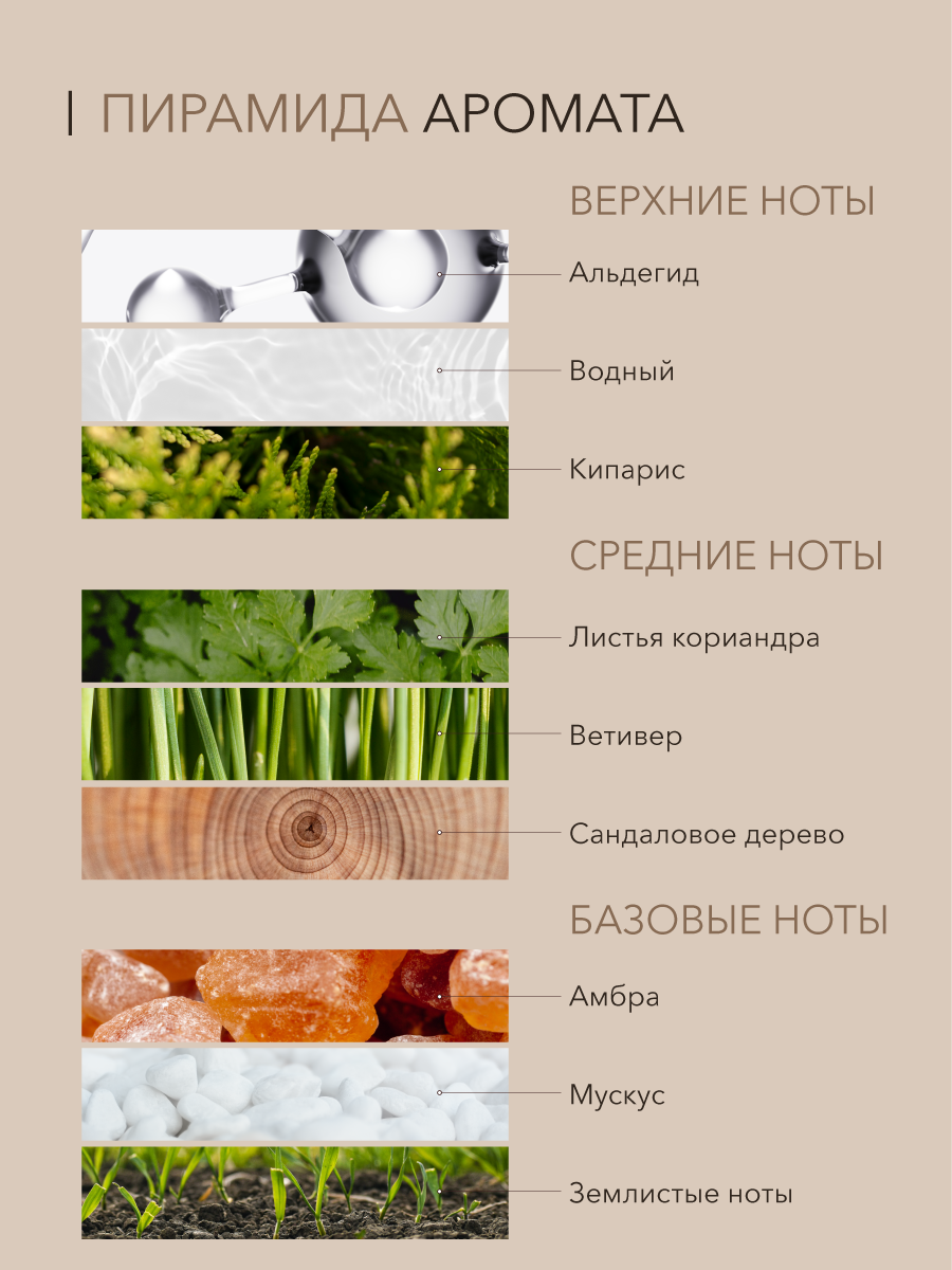 Ароматический диффузор ECOLATIER "MOUNTAIN MIST", альдегидный, 100мл — фото 1