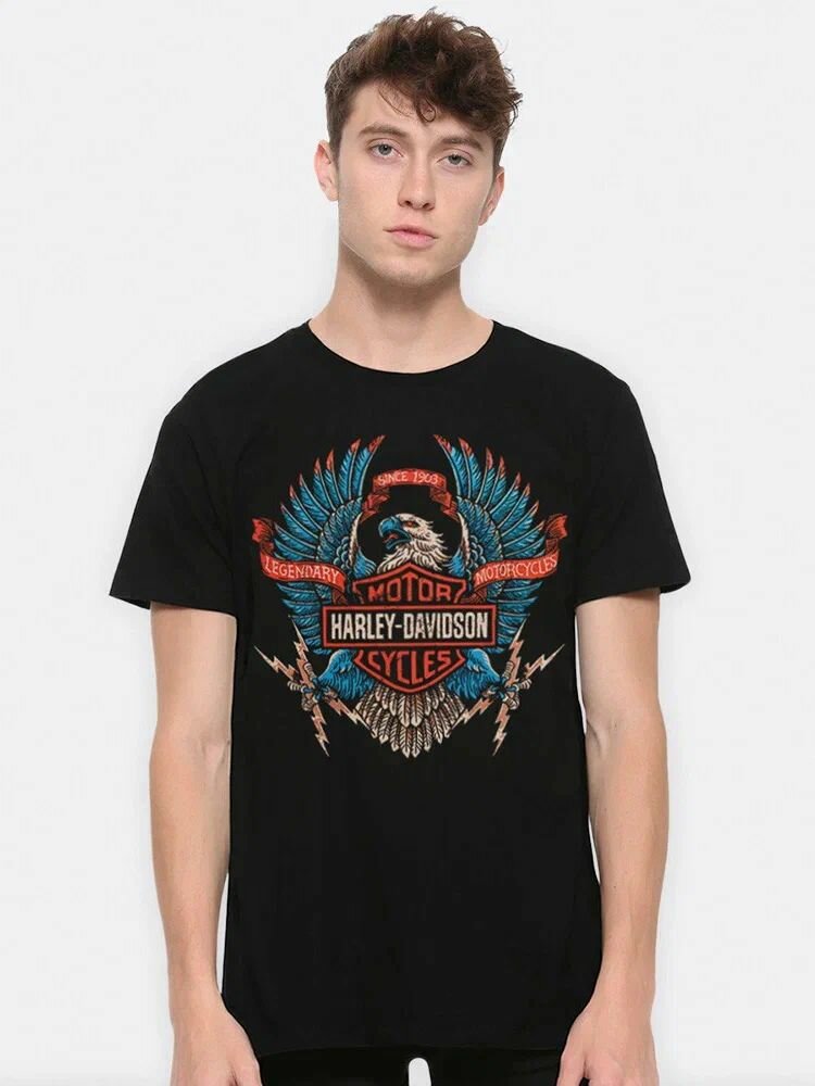 Футболка Dream Shirts Харлей Девидсон / Harley Davidson / Мужская