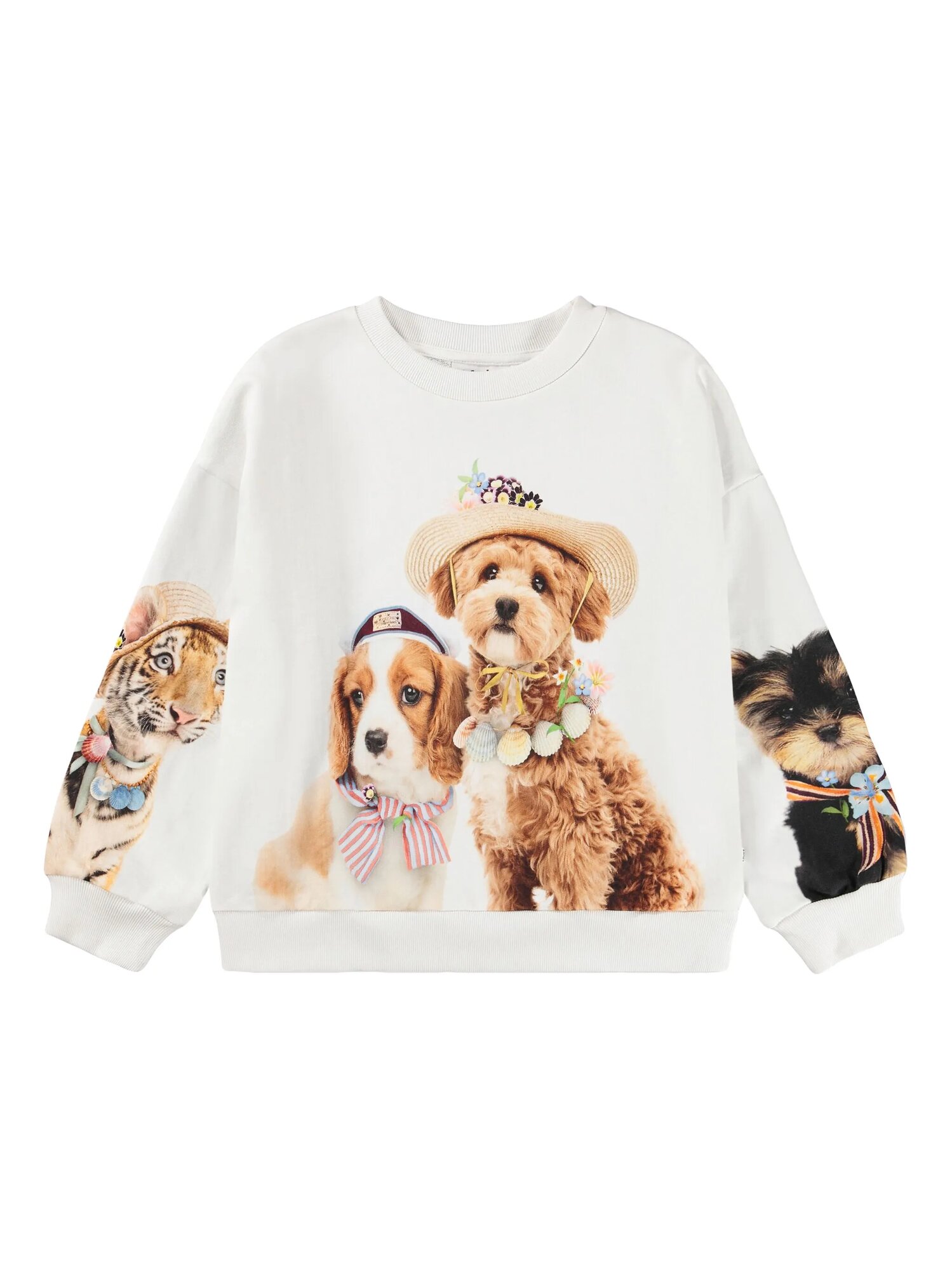 Толстовка Maxi