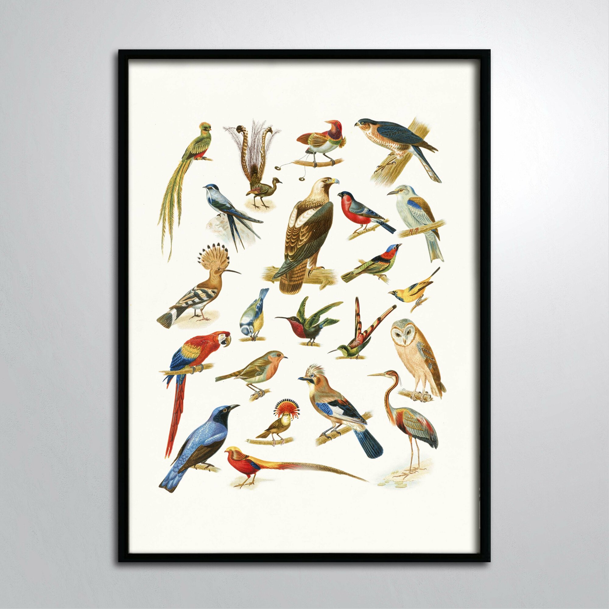 Постер без рамы/Постер для интерьера/Современное искусство Гобелен Птицы Рисунок (А2/420х594)