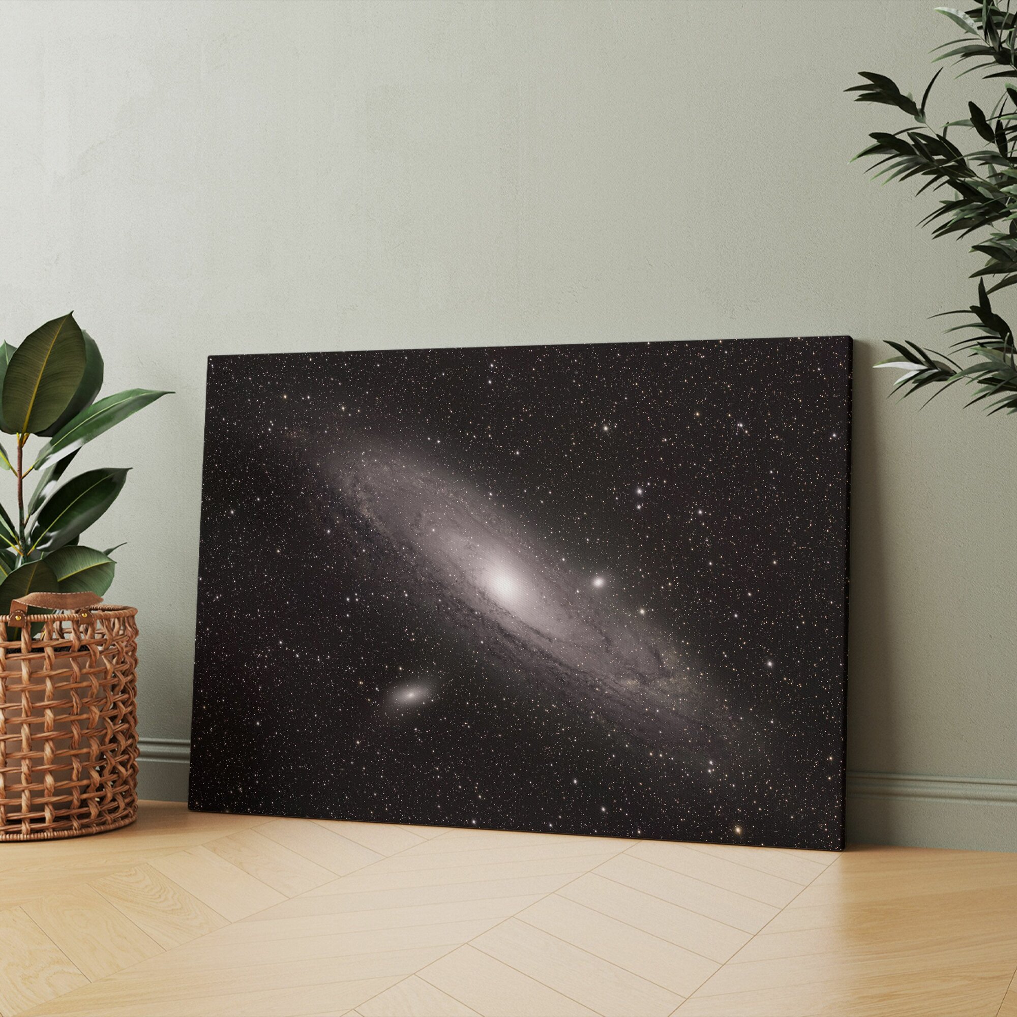 Картина на холсте (andromeda galaxy галактика андромеды карликовая туманность) 60x80 см/для интерьера/в комнату/на стену/в подарок