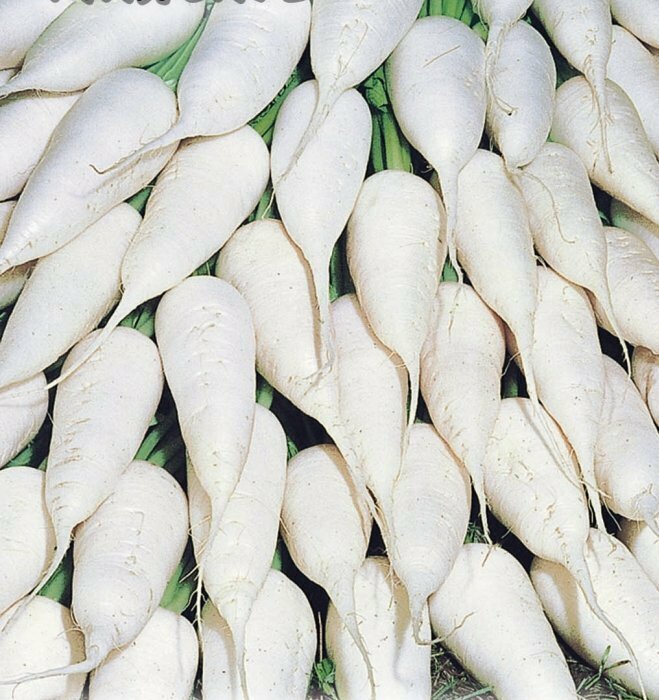 Семена Бобы Русские черные, 20 гр