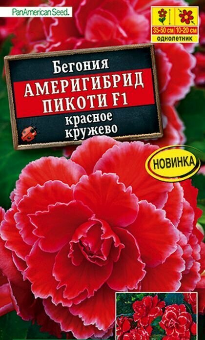 Бегония Америгибрид Пикоти F1 красное кружево
