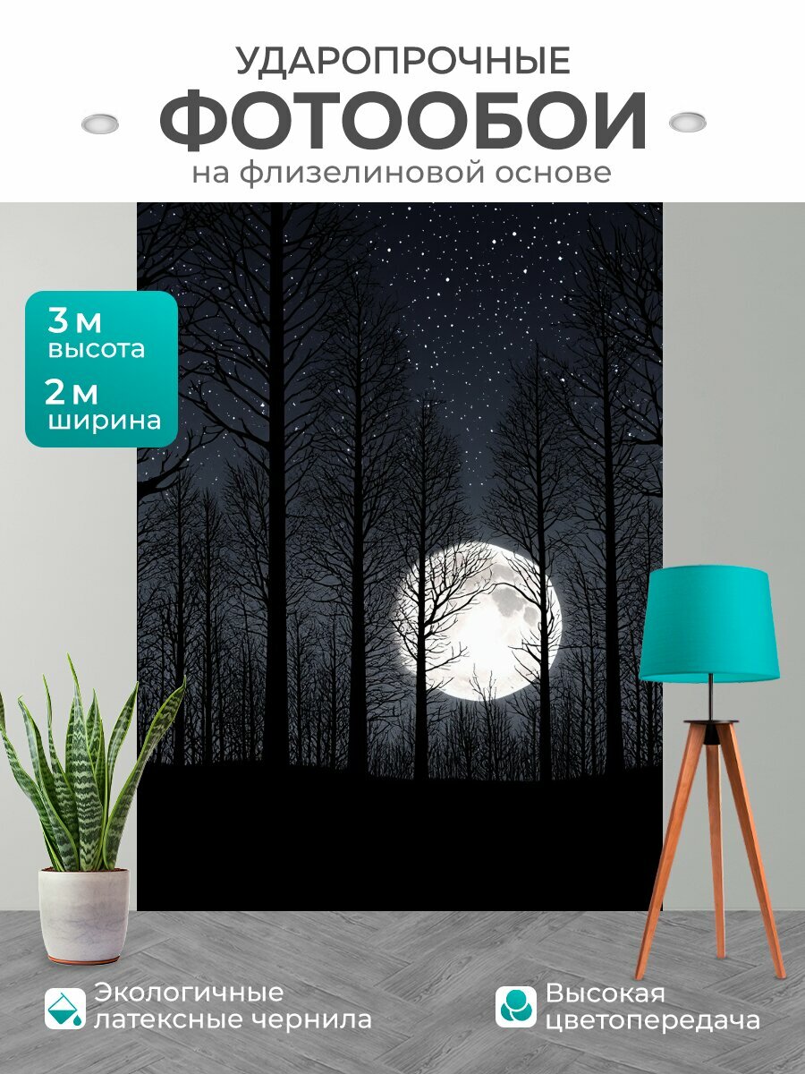 Фотообои моющиеся ударопрочные "Фотообои лес в стиле черно-белый: тонкие силуэты деревьев на фоне яркой луны, с многочисленными звездами на небе," 200x300 см. флизелиновые на стену