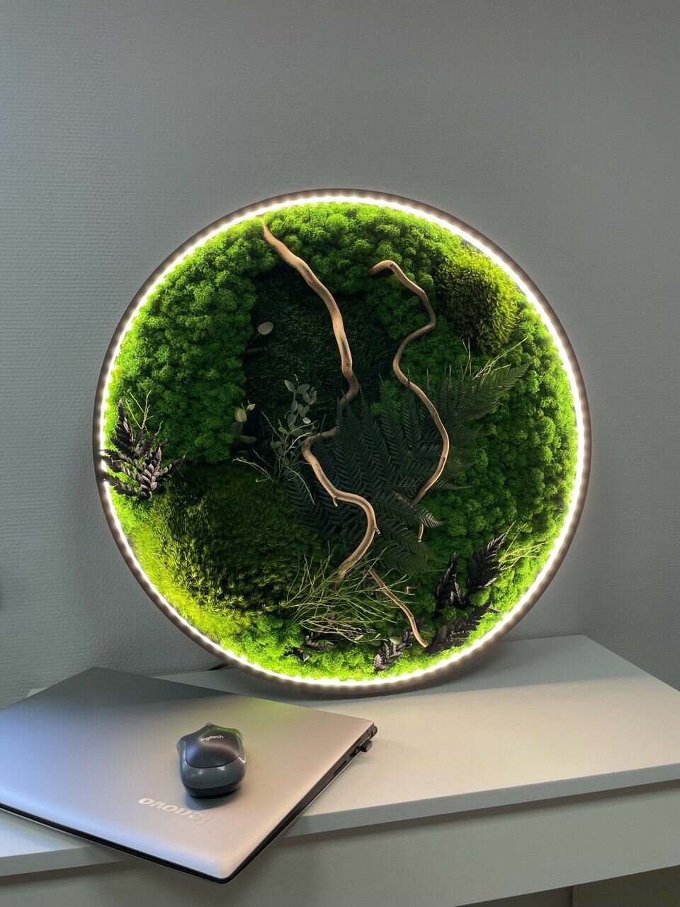 Панно Круг 60 см со мхом и растениями стабилизированными