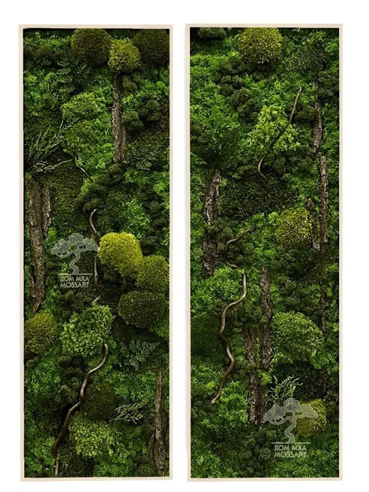 Модульная картина "На опушке" Диптих из стабилизированного мха и растений, Бежевый.120*40 см.