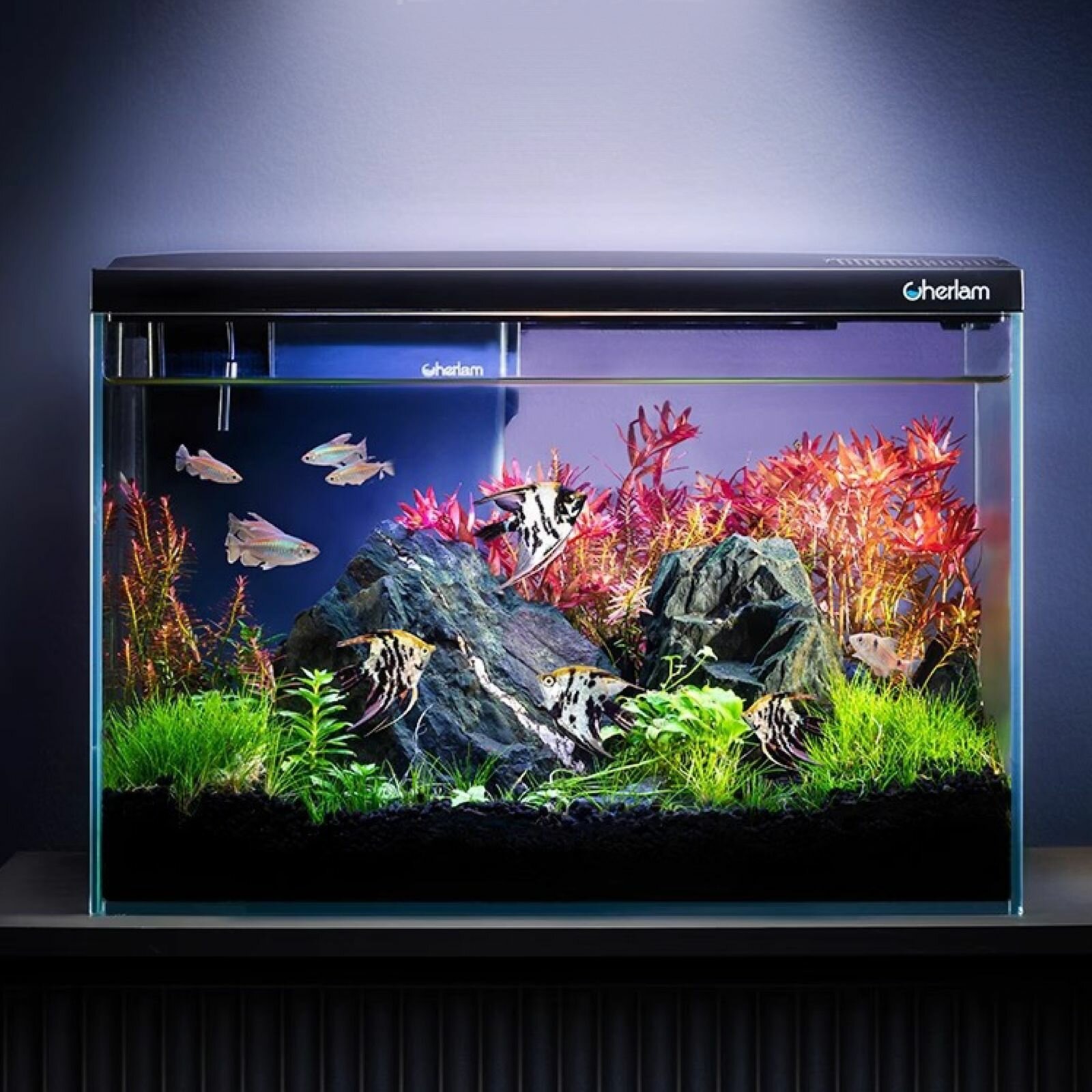 Умный аквариум Charles,25L,38X26X25CM,3.5W