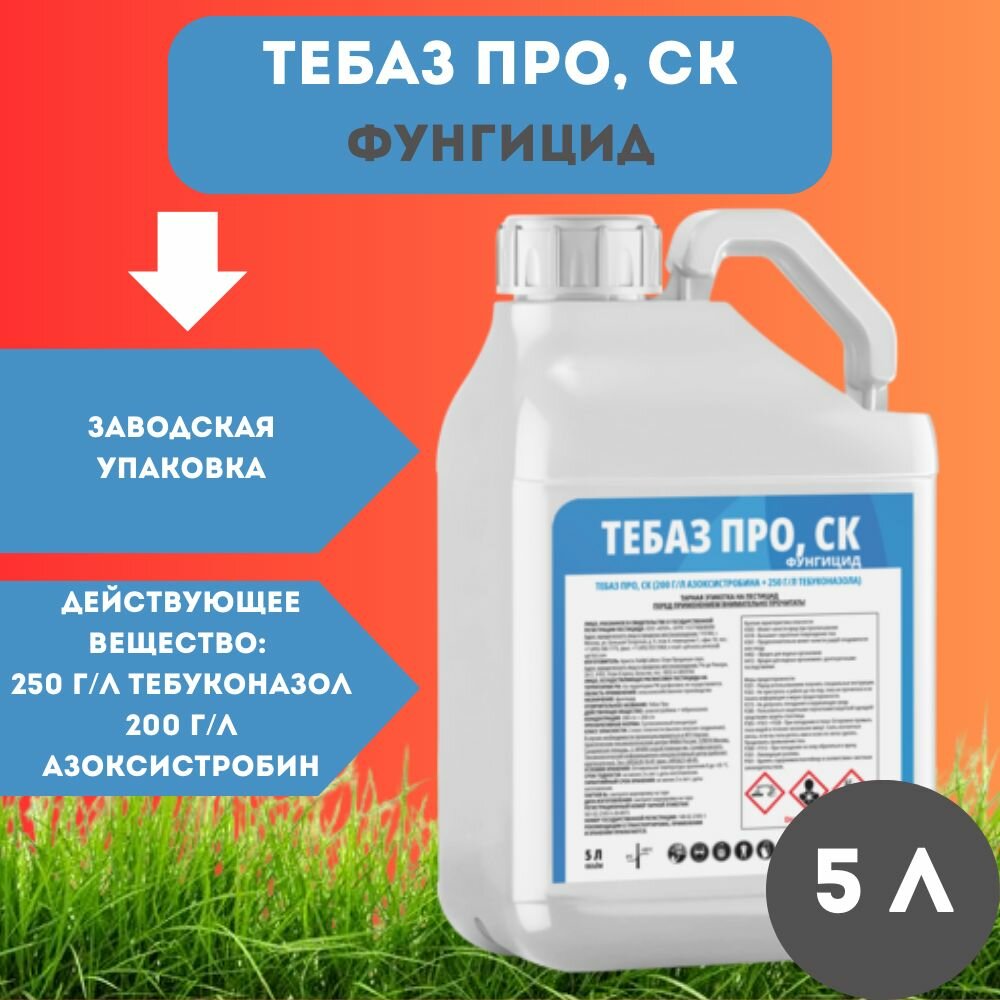 Фунгицид "Тебаз Про, СК" от болезней для зерновых культур, 5 л