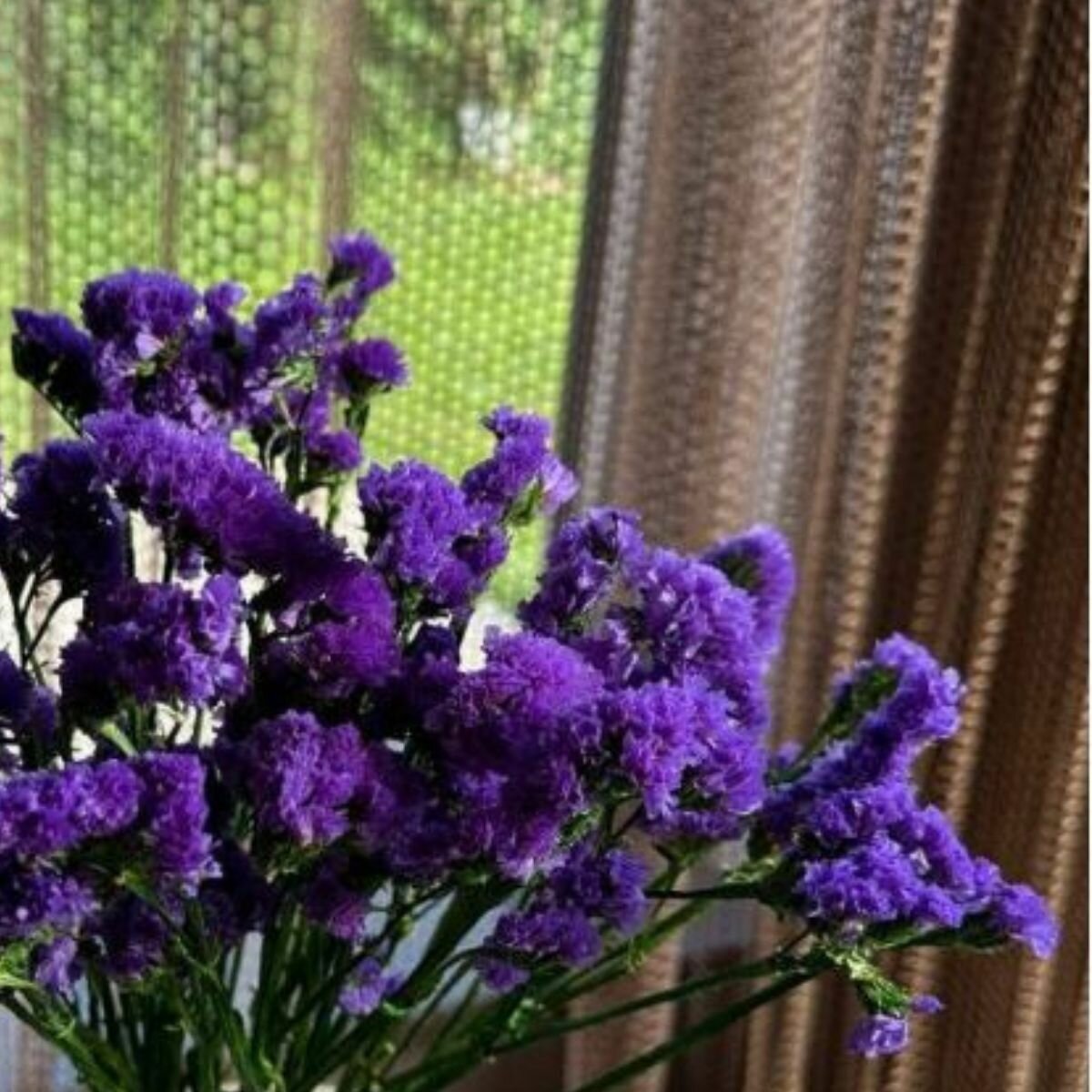 Стабилизированные искусственные цветы для декора статица фиолетовая