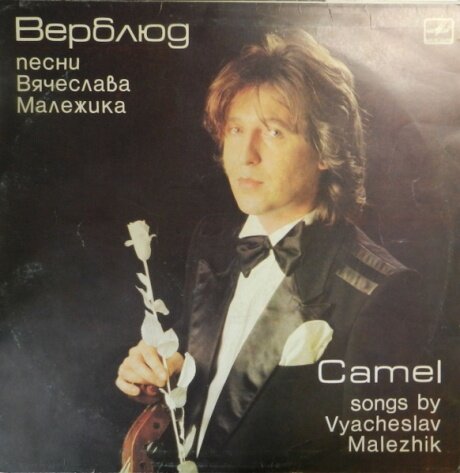 Старый винил, Мелодия, вячеслав малежик - Верблюд (LP , Used)