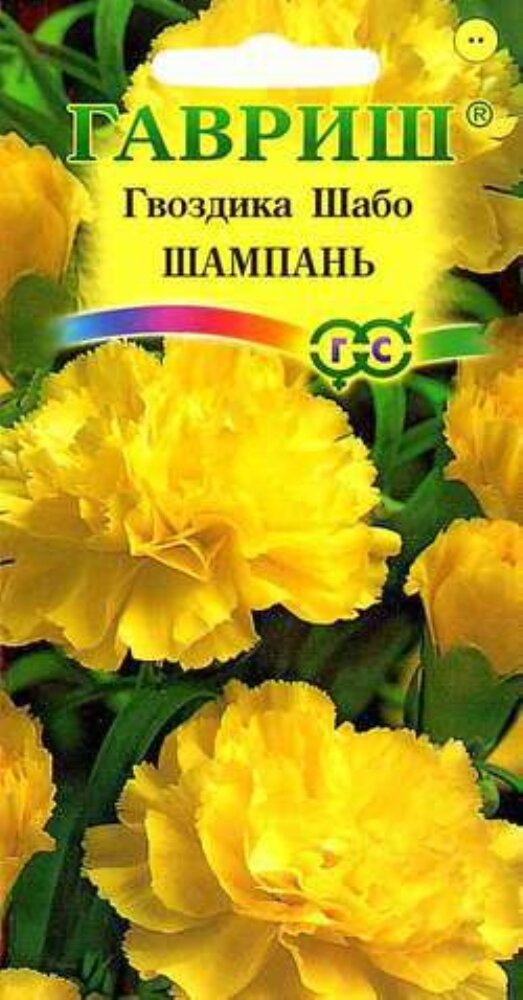 Семена Гвоздика шабо Шампань 0,1г Дв 50см (Гавриш)