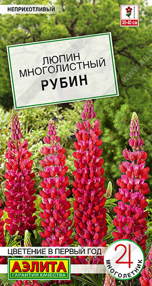 Семена Люпин Рубин 7шт Мн (Аэлита) Цветение в первый год