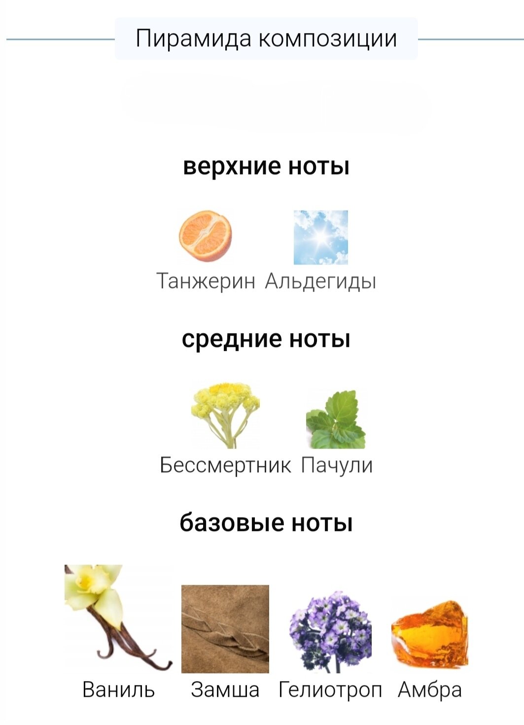 Духи ручной работы по мотивам 'Cuir Beluga', для мужчин и женщин — фото 1