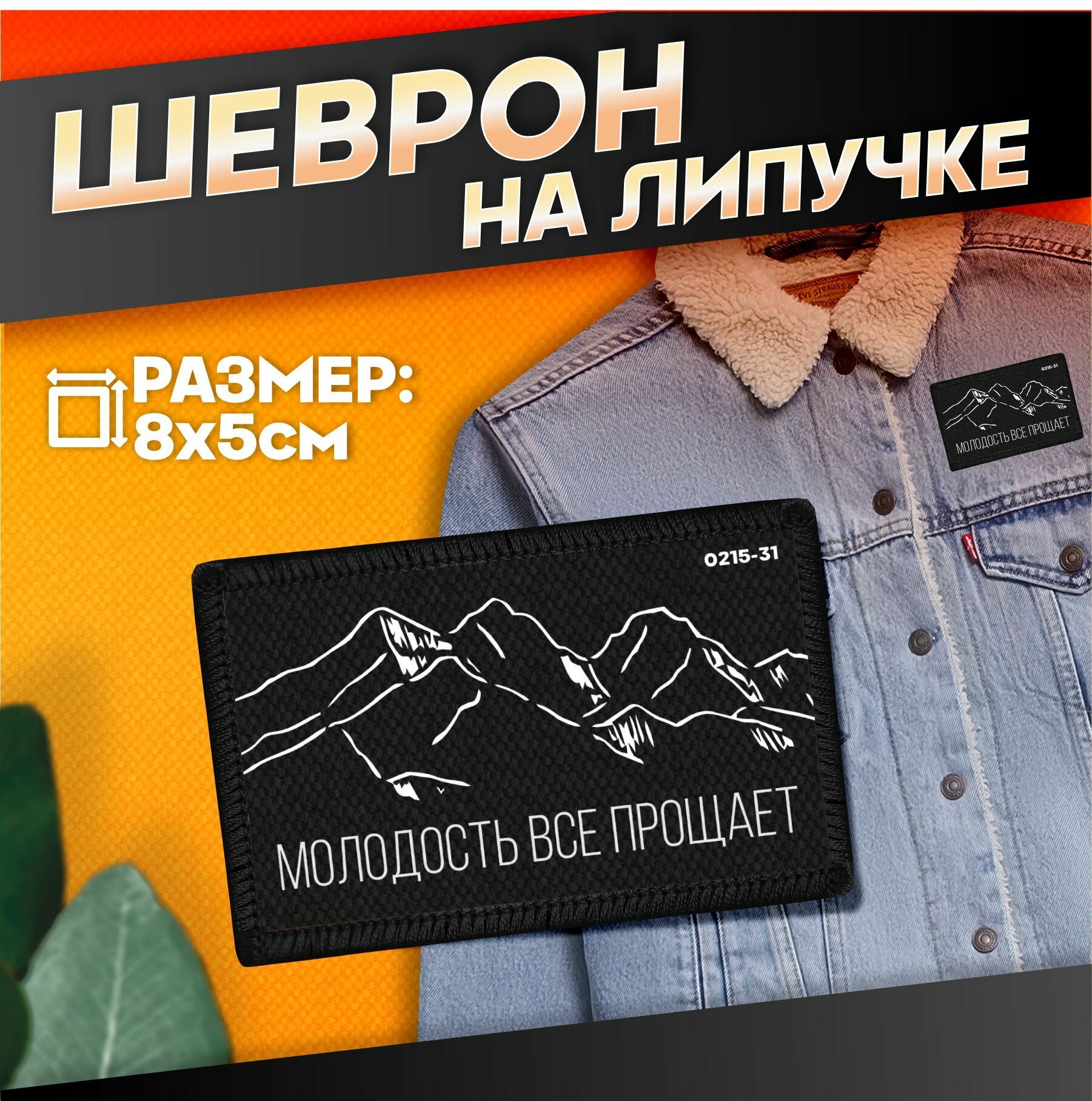 Нашивка на одежду на липучке молодость все прощает