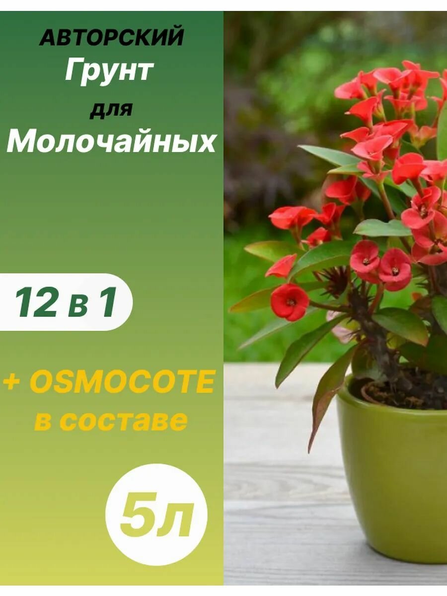 Грунт для Молочайных 5л готовый