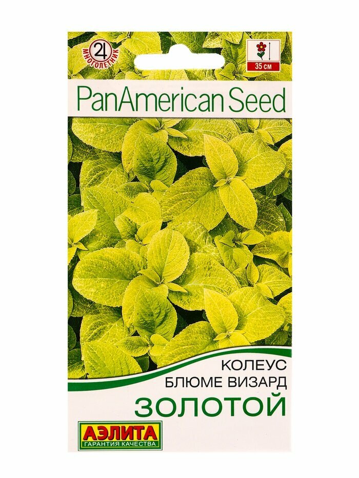 Семена цветов Колеус блюме Золотой Мн Спецсерия PanAmerican, Ц/П,5 шт. 10945506