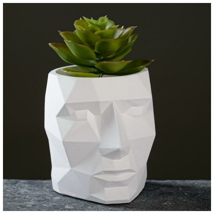 Кашпо-органайзер "Геометрическая голова" белое, 9см