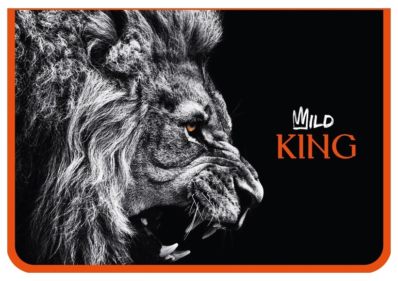 ArtSpace Папка для труда 2 отделения Wild King А4 на молнии, пластик, черный/красный