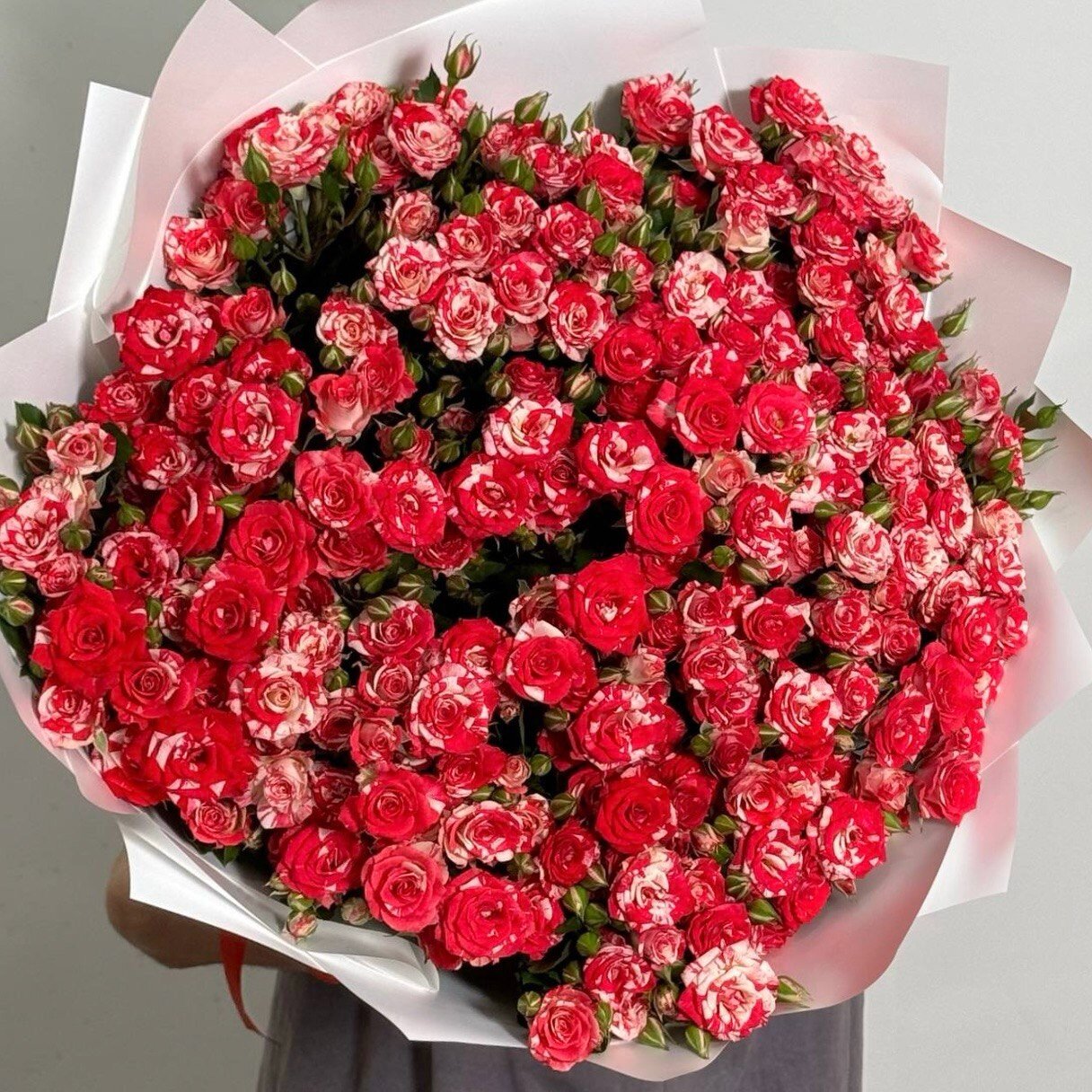 Красивый букет с доставкой из ярких бело-малиновых кустовых роз сорта Фаерворкс 31 шт.