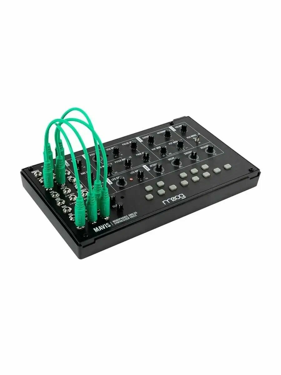 MOOG Mavis синтезатор — фото 1