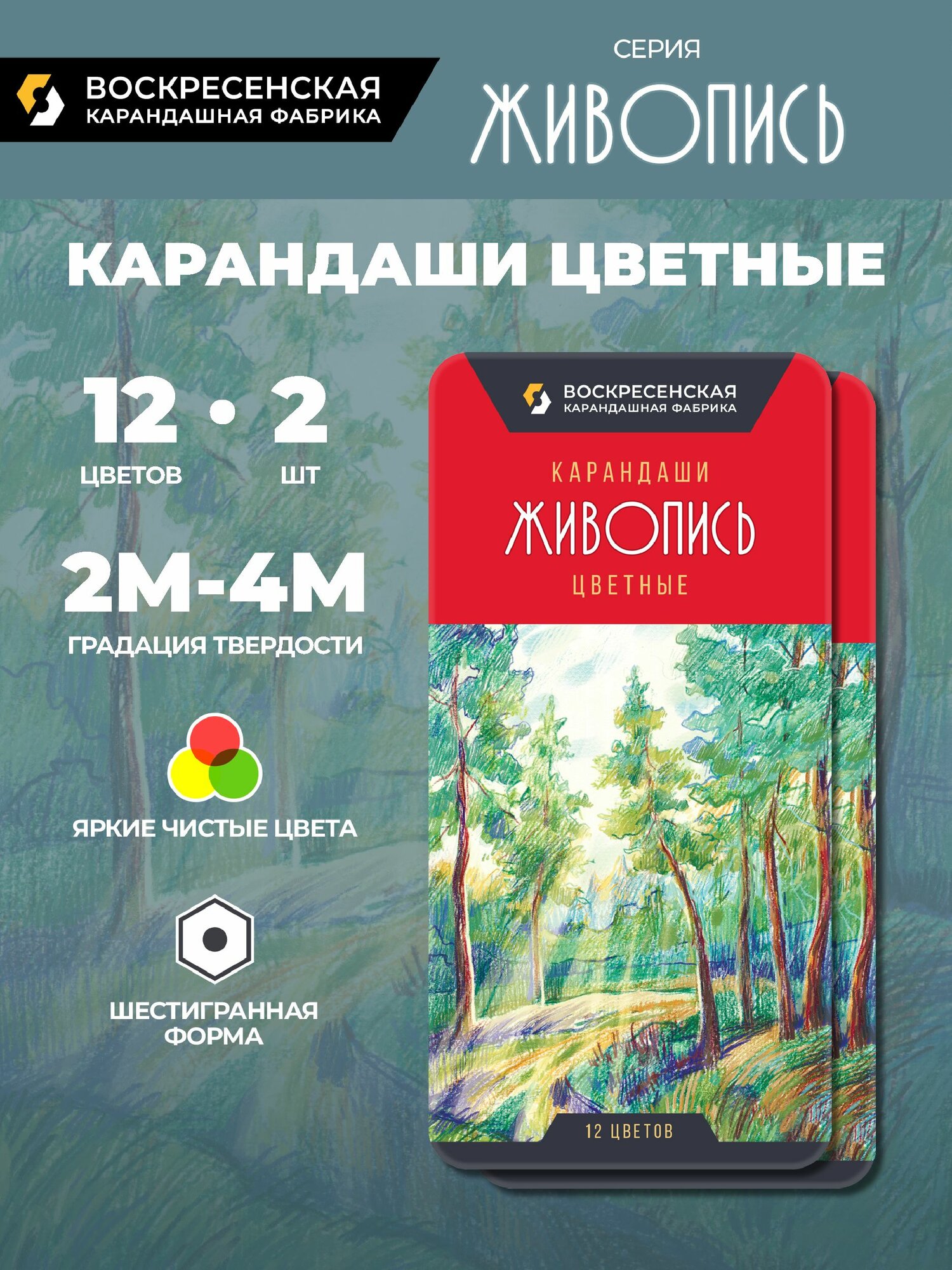 ВКФ карандаши цветные Живопись, заточенные, набор 2 упаковки по 12 цветов, JIV-CPM-1012