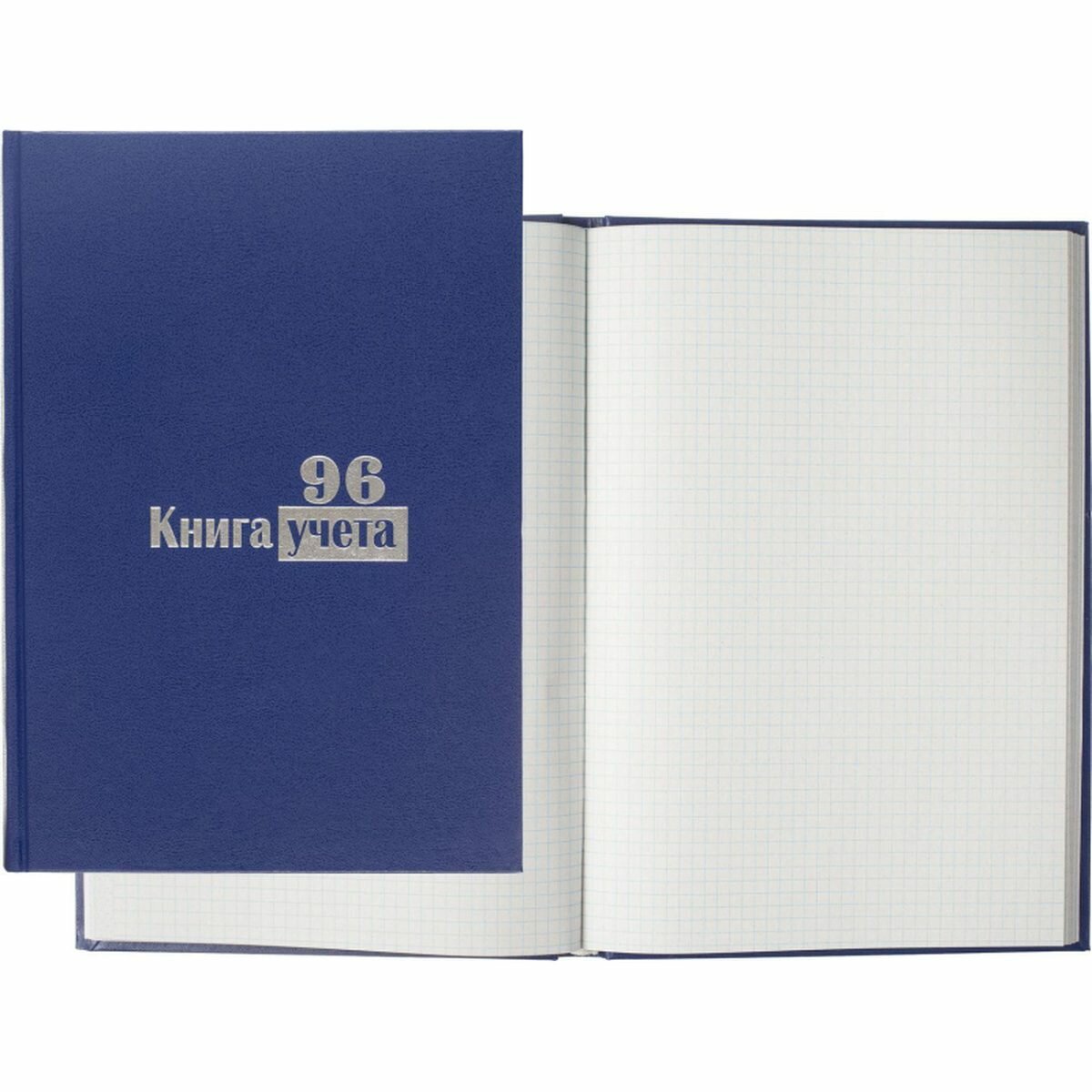 Бухгалтерская книга учета Выбор есть (А4, 96л, клетка, блок типографский, бумвинил) (1941792)