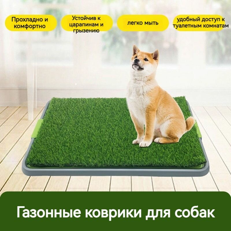 Туалет для животных
