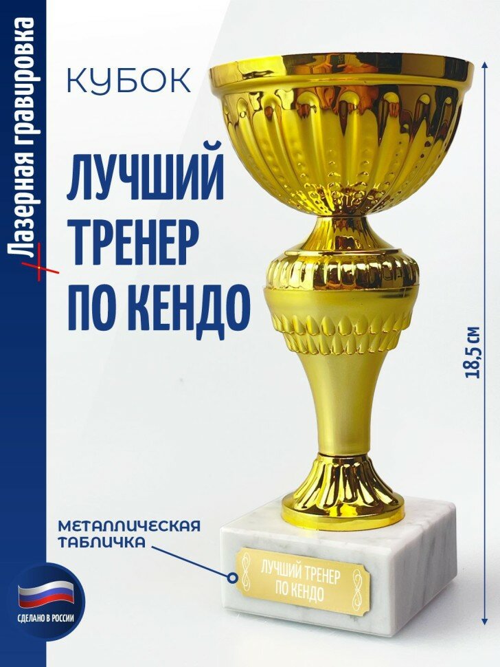 Кубок "Лучший тренер по кендо" (18,4 см)