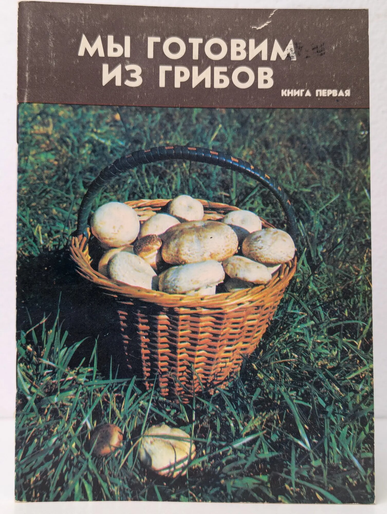 Мы готовим из грибов. Книга первая Валлер Г. 1991