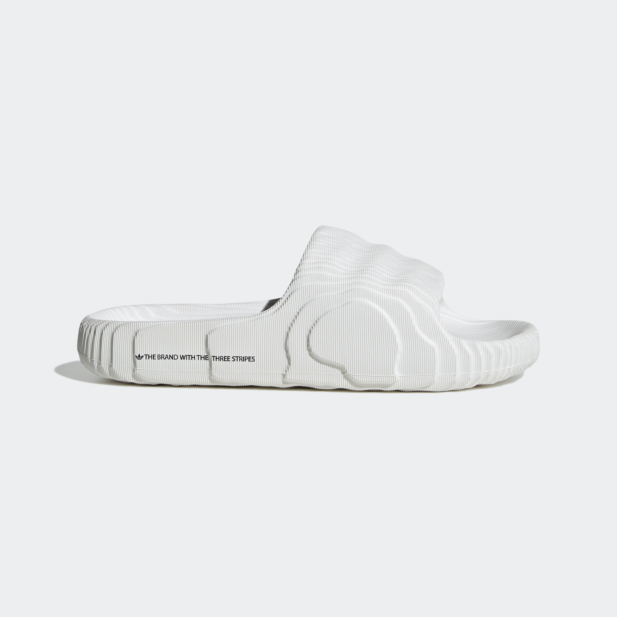 Сланцы Adilette 22