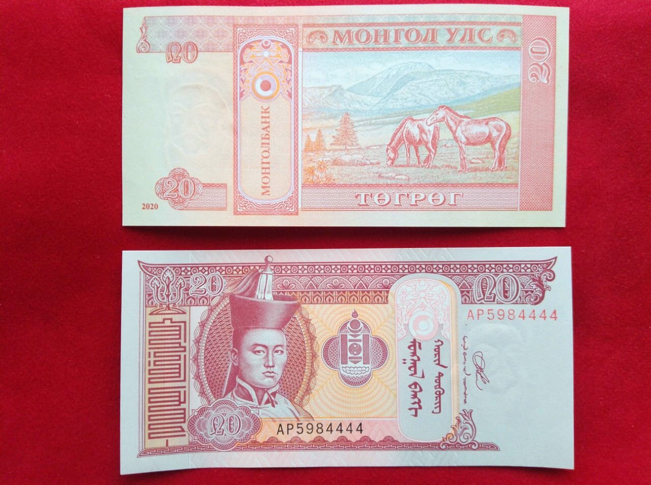 Бона Монголия 20 тугриков. 2020 г.