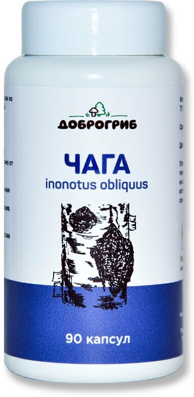 Чага в капсулах (90 штук)
