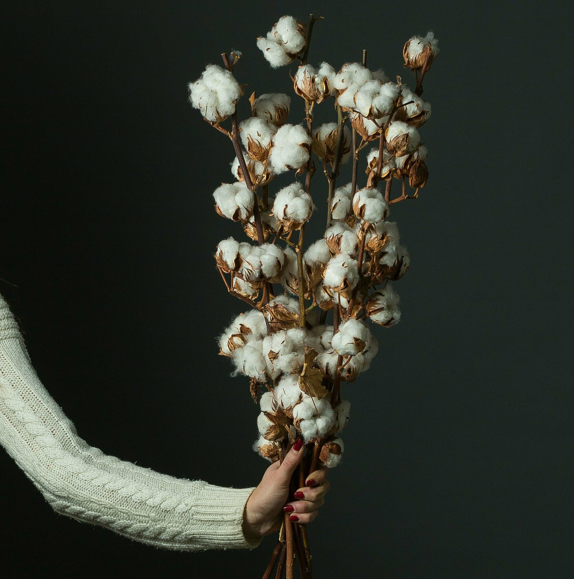 Букет "Хлопковое Чудо"