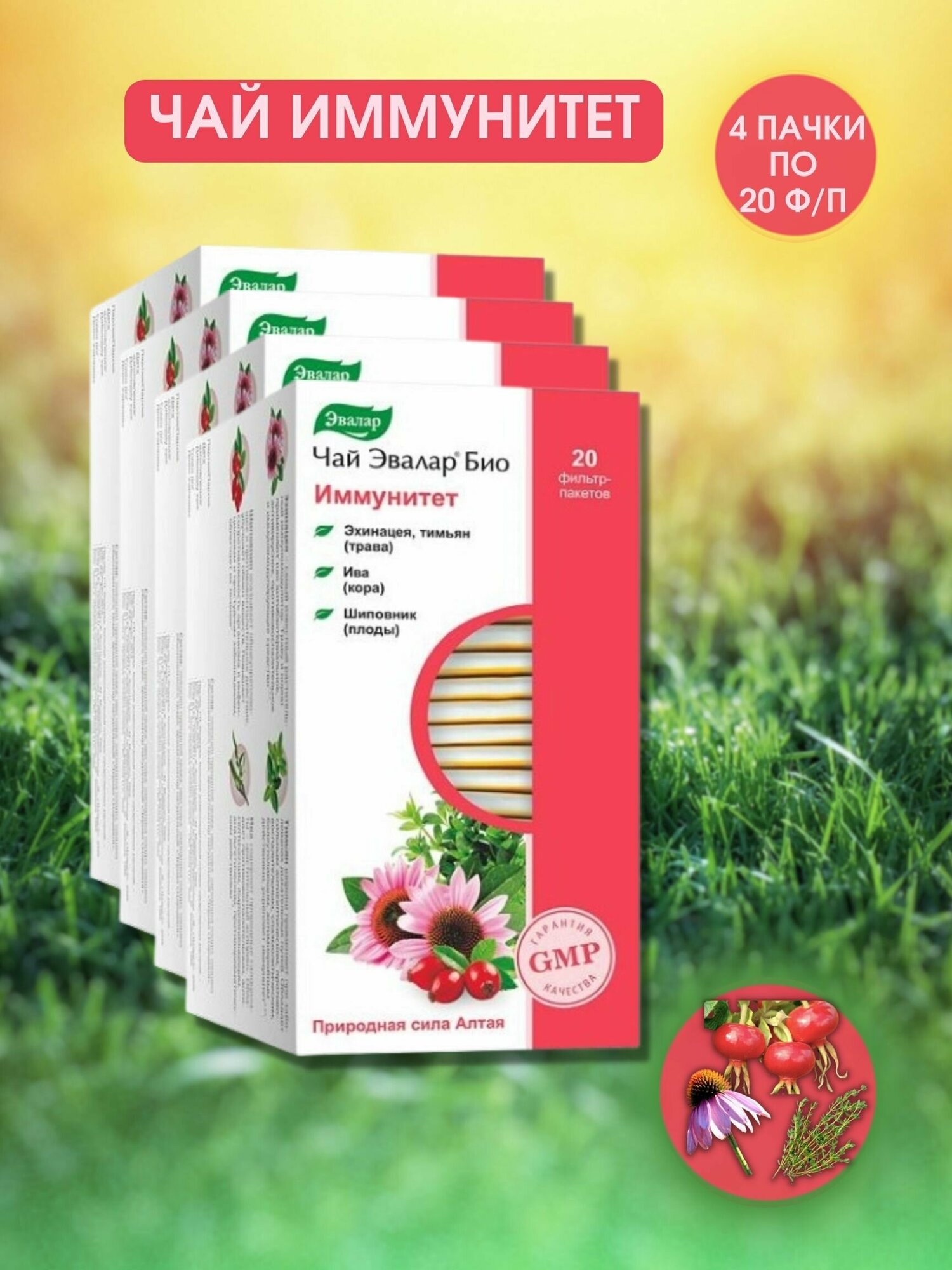 Чай иммунитет 20 фильтр-пакетов по 1,5г Эвалар Био