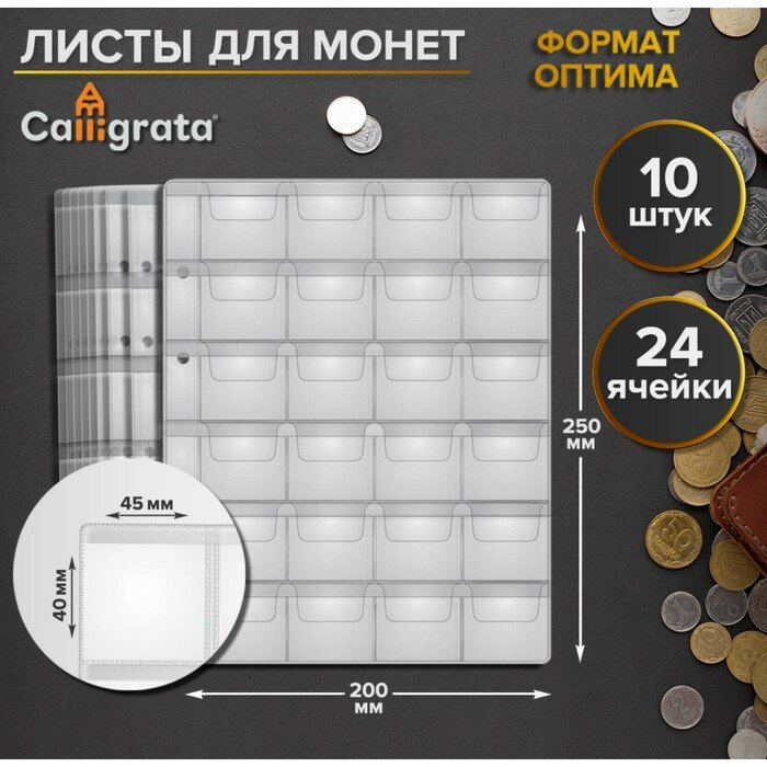 Набор листов для монет, формат «Оптима», 10 листов 200×250 мм, на 24 ячейки 45×40 мм