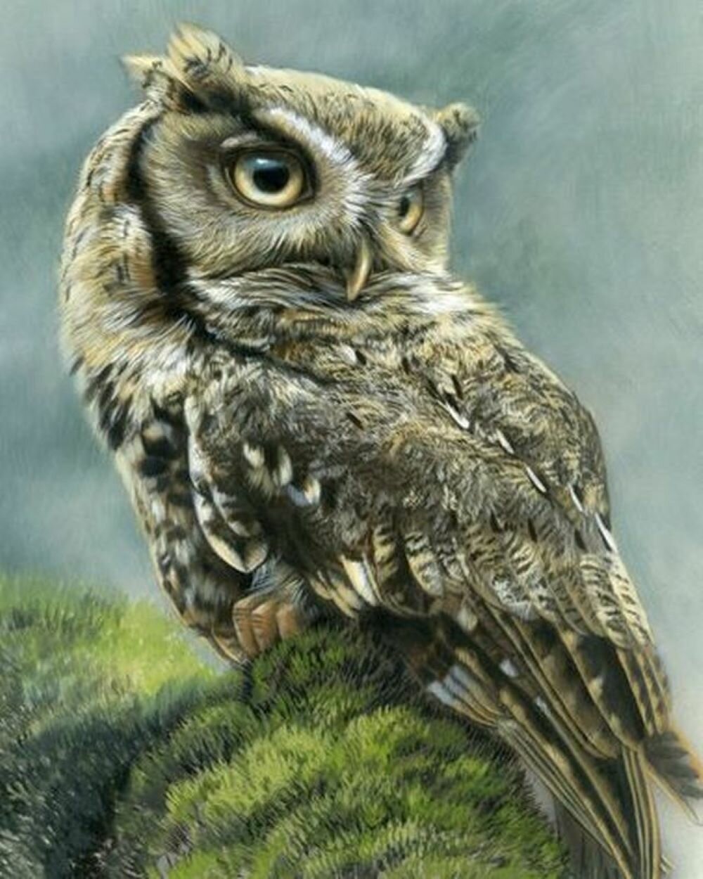 Вышивка крестом Сова 46х56