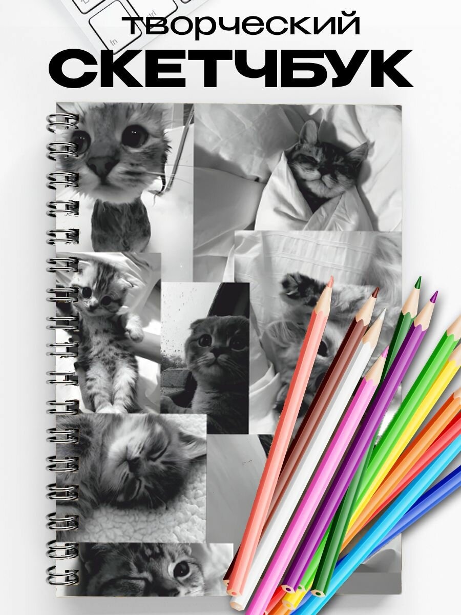 Блокнот A5 "Чёрно-белые котики"