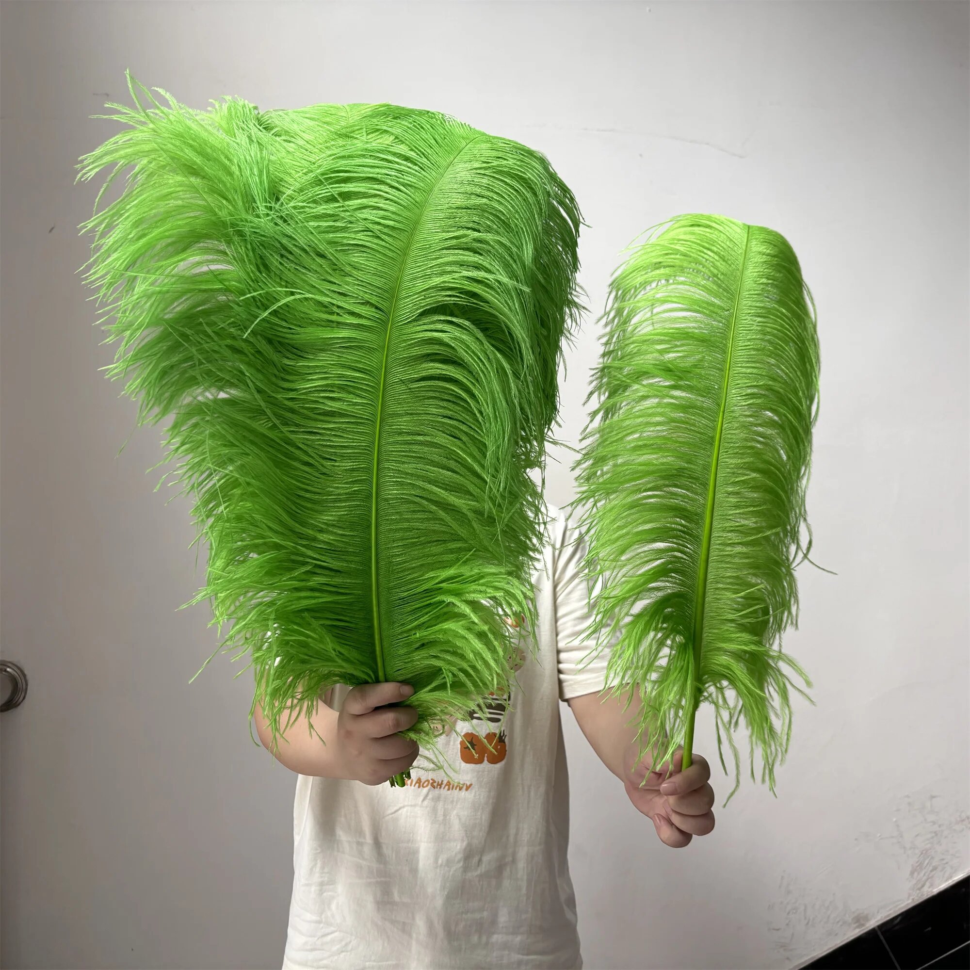 Страусиные перья WqlcraftS 15-60 см, набор из 10 штук 15-20cm 6-8inch, Зеленый, Apple green
